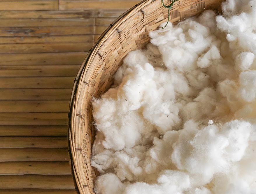 What is Kapok? – livasia.co.uk